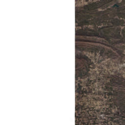 ArcGIS Web Application