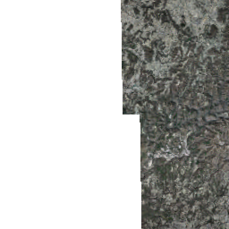ArcGIS Web Application