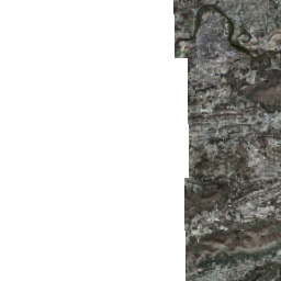 ArcGIS Web Application