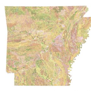 Soil Map for Property Tax Assessment (polygon) | Arkansas GIS Office